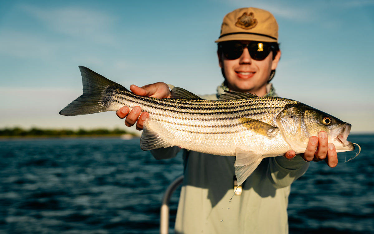 Northeast Fishing Report 6/19/26 - The Compleat Angler
