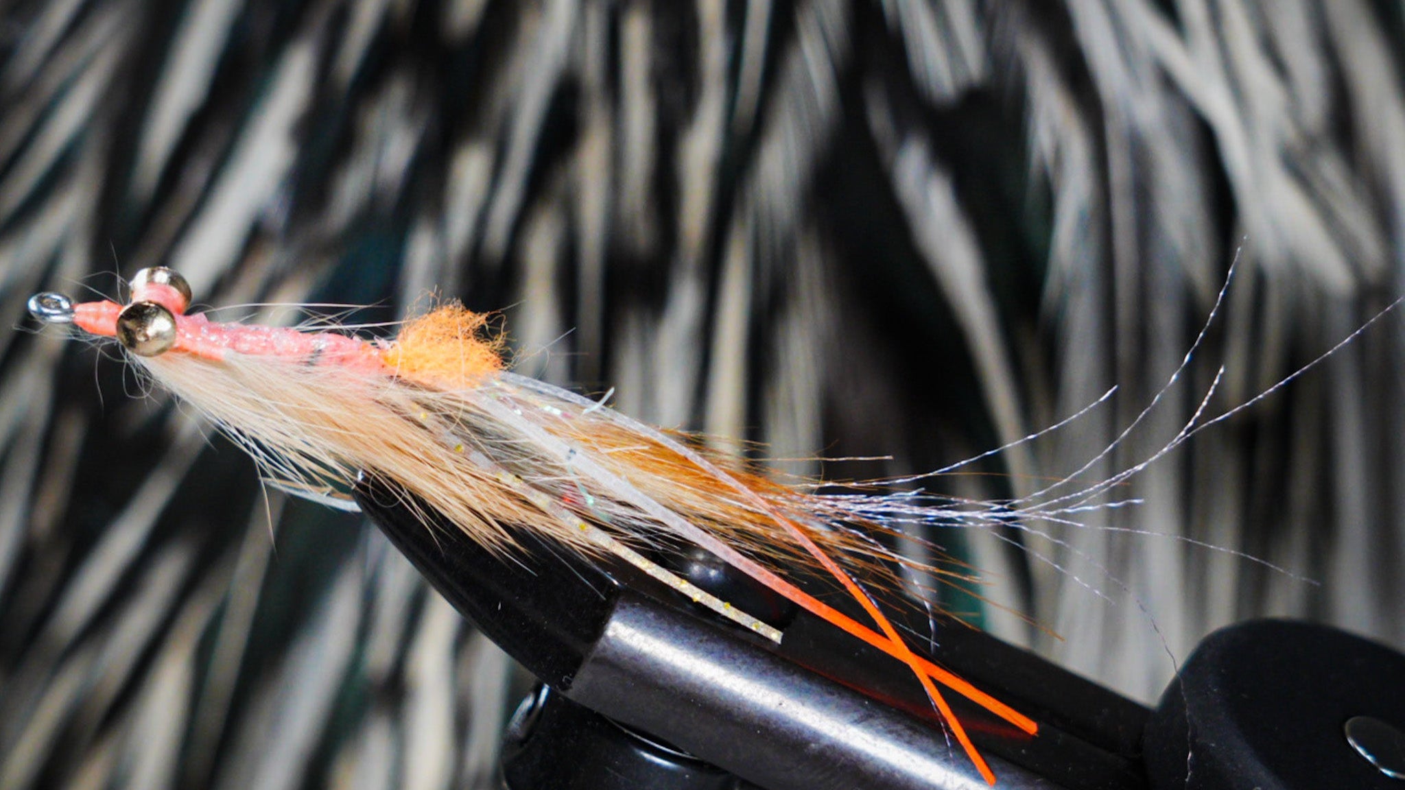 The Compleat Guide to False Albacore Fly Fishing: Fall's Most Fantasti ...
