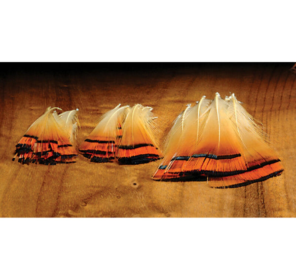 Golden Pheasant Tippets - The Compleat Angler