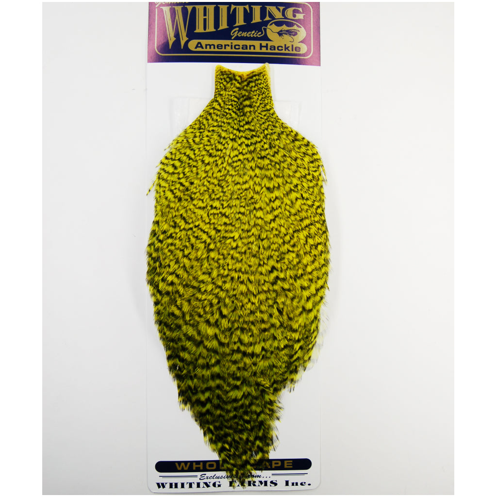 Whiting American Rooster Cape - The Compleat Angler