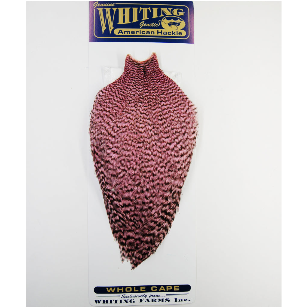 Whiting American Rooster Cape - The Compleat Angler