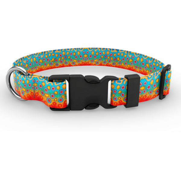 Wingo Dog Collar - The Compleat Angler